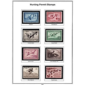 Showgard Strip Style Black Stamp Mounts Size 57