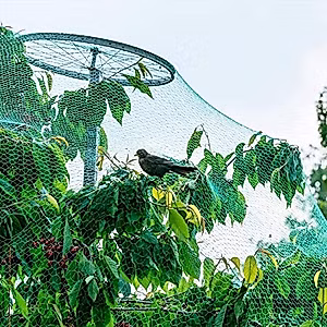 YHmall Bird Netting 13 x 33 Feet, Green Plant Garden Netting Reusable Heavy Duty, Fruit Tree Netting with 50 Pcs Cable Ties Protect Fruit Trees Blueberries Plants and Vegetables from Birds and Animals