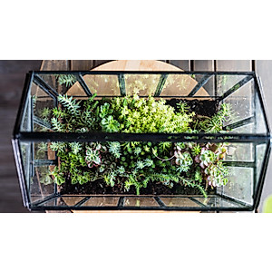 Urban Born Large Indoor Greenhouse Shape Terrarium — 10" x 6" x 10" (Black)