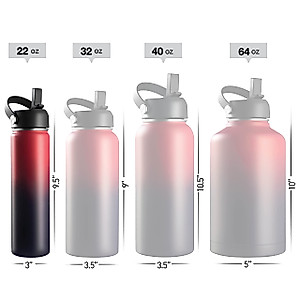 Brewberry Stainless Steel Insulated Water Bottle and Travel Mug for Hot and Cold Beverages, Wide Mouth, Double Wall Insulated Hydration Sports Water Bottle for Hiking, Biking, Outdoor, 22 OZ BPA Free