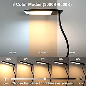 LiFMIRA Clip on Lamp USB Reading Light 3 Color Modes 3000-6000K and 10 Brightness 8W 40 LED Flexible Gooseneck Desk Light Clip on Lamp for Desk Eye Caring Bed Lamp for Headboard (No Plug)