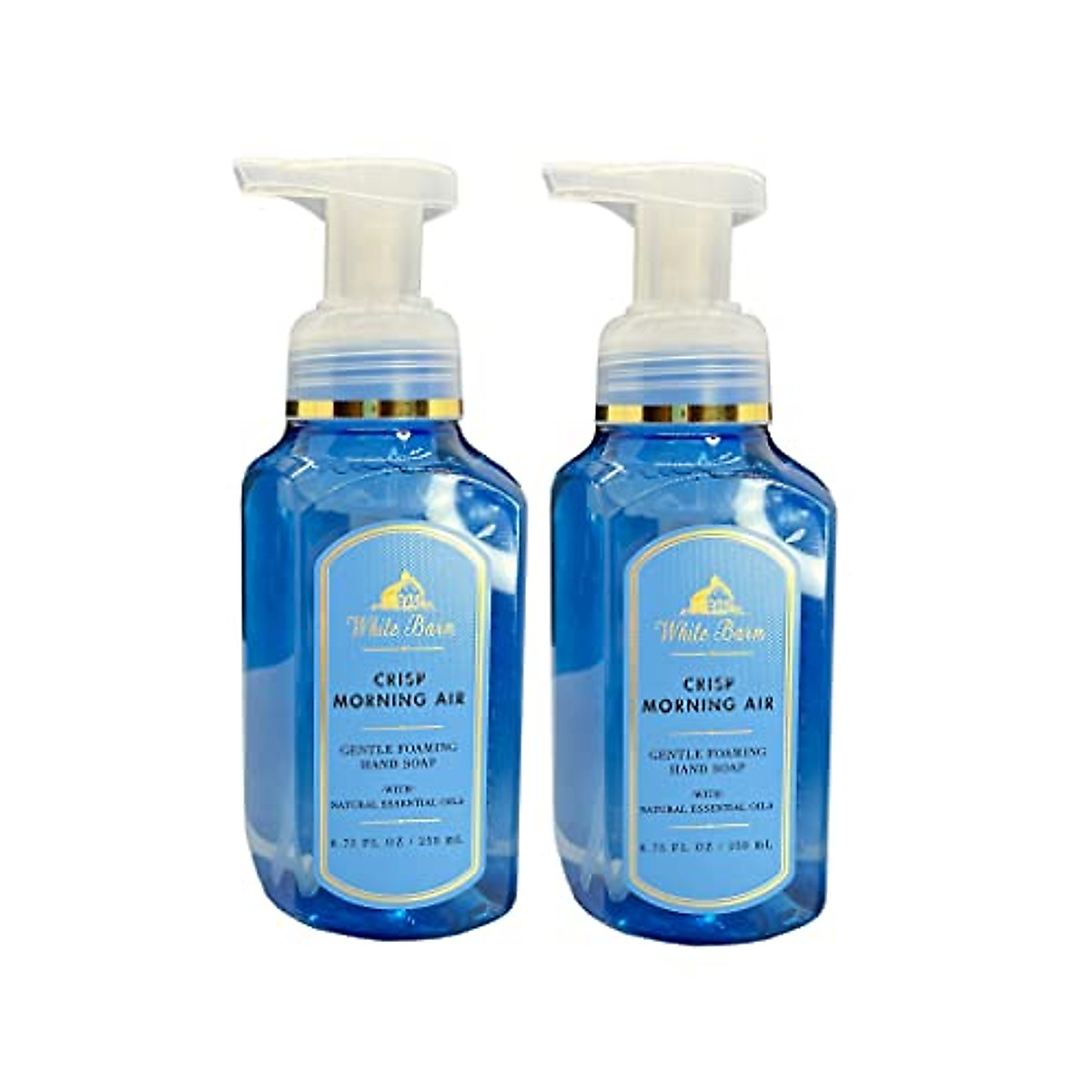 Bath & Body Works Crisp Morning Air Gentle Foaming Hand Soap Set of 2