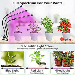 yoyomax LED Grow Light, Full Spectrum Clip Plant Growing Lamp with Red Blue LEDs for Indoor Plants, 6-Level Dimmable, Auto On Off Timing 3 6 12Hrs