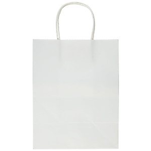 Super Z Outlet Paper Gift Bags with Handles 8" x 10.25" x 4.25" for Arts & Crafts Projects, Coloring, Birthdays, Shopping, Presents (13 Pack) (White)