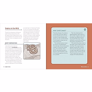 Snakes for Kids: A Junior Scientist's Guide to Venom, Scales, and Life in the Wild