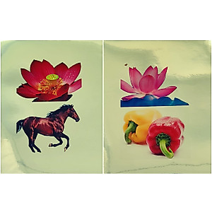 GREEN GOLD-20 Sheets Printable Glossy Green Gold Vinyl Sticker Paper Premium Adhesive Sheets Ink Dries Quickly For Inkjet/Laser Printer(A4 Mirror GOLD)