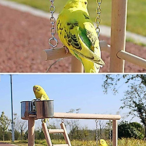 TangXSTAR Bird Training Rack Desktop Parrot Play Stand Cockatiel Playground Wood Playpen with Ladder Swing Toys Include a Tray for Parakeets African Conures Cockatiel Cockatoos Parrotlets Finch