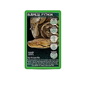 Snakes Top Trumps Card Game, One size (002876)