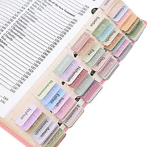 EOOUT Bible Tabs, 90 Tabs, Morandi Laminated Bible Tabs for Women and Men, Bible Book Tabs, Testament Bible Index Labels, Morandi Aesthetic Bible Journaling Study Supplies Accessories
