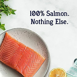 Stewart Freeze Dried Dog Treats, Wild Salmon, Grain Free & Gluten Free, 2.75 Ounce Resealable Tub, Single Ingredient, Made in USA, Dog Training Treats