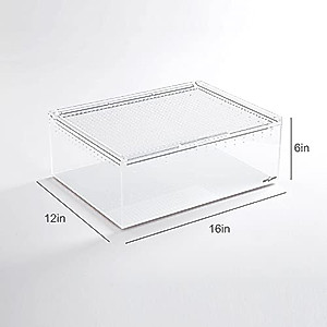REPTI ZOO Magnetic Acrylic Enclosure, 16x12x6 Inch 5 Gallon Reptile Breeding Box Habitat Terrariums Cage for Tarantula Scorpion Sling Isopods Lizards Roach Invertebrates Spider Snake