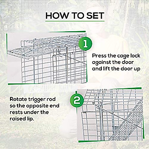 SAFETRAP Large Cage Trap for Live Animals + Bite Proof Gloves - 32" One-Door Humane Live Cage - Heavy Duty Animal Trap - Ideal to Catch & Release Raccoon, Chipmunk, Rabbit, Groundhog, Cat
