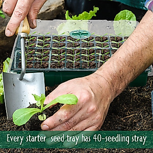 Hoolerry Seed Starter Tray 40 Cells Seed Starter Kit with Humidity Dome and Base Propagation Tray Plant Germination Trays Greenhouse Mini Propagator Station for Seeds Growing (Green,20 Pcs)