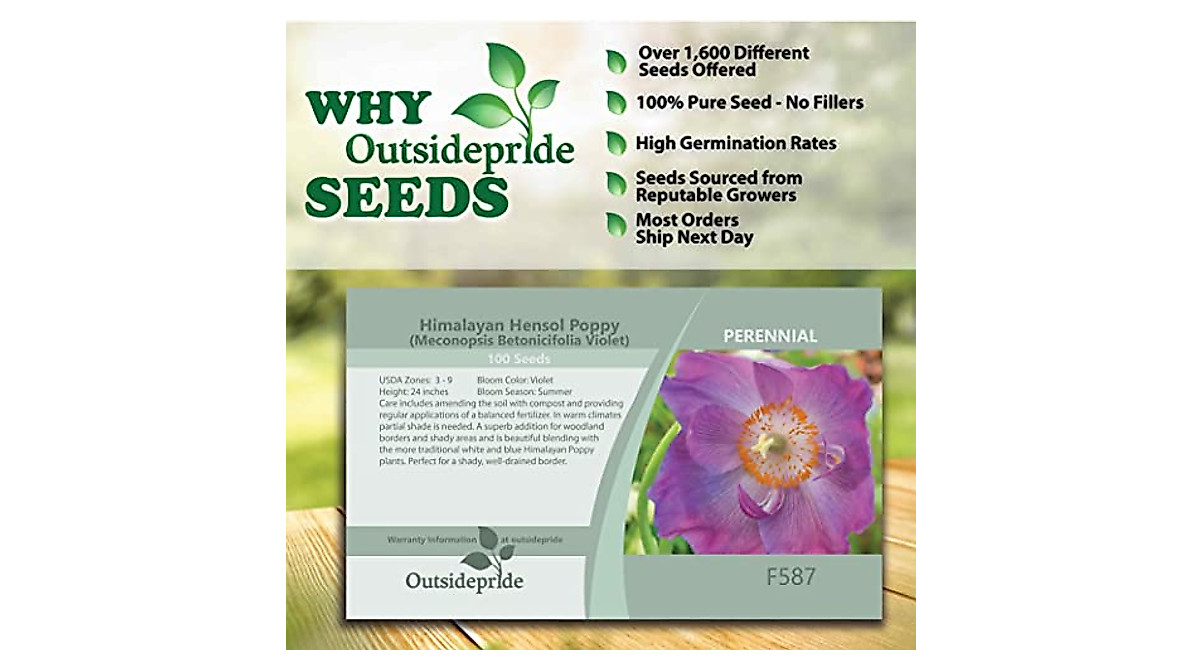 Outsidepride Himalayan Violet Poppy Seeds | Perennial Blooms