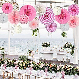 Hanging Party Decorations Set Tissue Paper Fan Paper Pom Poms Flowers and Honeycomb Ball for Wedding Birthday Baby Showers Engagement Party Decor Pink Kit