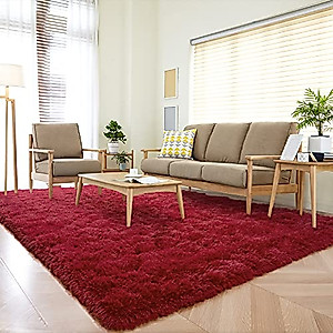 DETUM Wine Red Runner Rug 2' X 6' Fluffy Burgundy Area Rugs for Bedroom Bedside Soft Living Room Shag Rugs Hallyway Entryway 24 x 72 Inch Room Decor