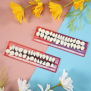 BBTO 6 Sets Acrylic Resin Fake Teeth artificial teeth Denture Replacement tooth prop Synthetic Resin Denture for Replacement, 112 Pieces, 23 A2