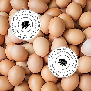 Laid On Date Stickers | 50 Pack | 2" Round Stickers | Farm Fresh Stickers | Egg Carton Stickers | White with Chicken Coop Design