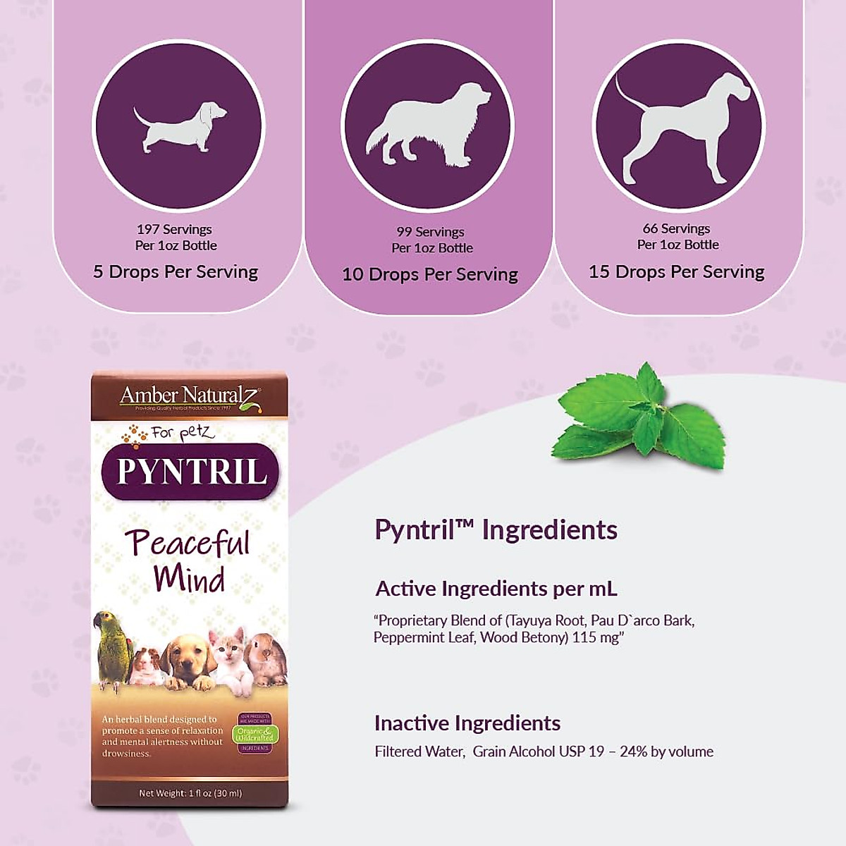 AMBER NATURALZ Pyntril Peaceful Mind Herbal Supplement for Dogs, Cats, Birds, Guinea Pigs, and Rabbits | Herbal Pet Supplement for Relaxation | 1 Fluid Ounce Glass Bottle | Manufactured in The USA