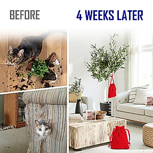 10 Pack Natural cat Detterent for Indoor Outdoor Use, Strong Peppermint and Garlic Cat Repellent Pouches, Give Indoor Plant Furniture Protection from Cats