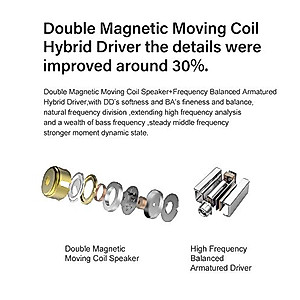 CVJ CSA in Ear Monitor, Dual Magnetic DD and 1BA in-Ear Earphone Noise Isolating IEM Earphone/Earbud/Headphone with Resin Cavity,Wired Earbuds with 0.75mm 2Pin Detachable Cable(with Mic, Black)