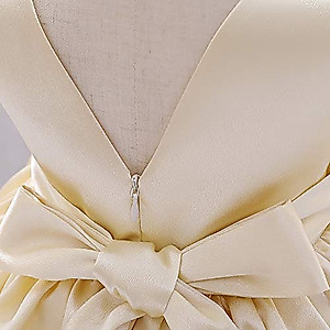 Flower Toddler Baby Girls Dress Formal Bowknot Tutu Backless Ruffle Puffy Tulle Gowns Princess Wedding Communion Christening Baptism Pageant Birthday Lace Party Wear Summer Suit Champagne 5-6X