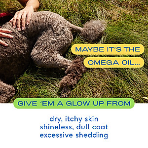 Native Pet Pack Leaders Bundle - Daily Dog Multivitamin (7 oz.) & Omega Oil for Dogs (8 oz.)