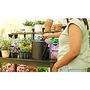 Miracle-Gro Water Soluble Bloom Booster Flower Food, Plant Food for Annual and Perennial Flowers, In-Ground and Container Plants, Roses, Hydrangeas, Hibiscus, 5.5 lb.