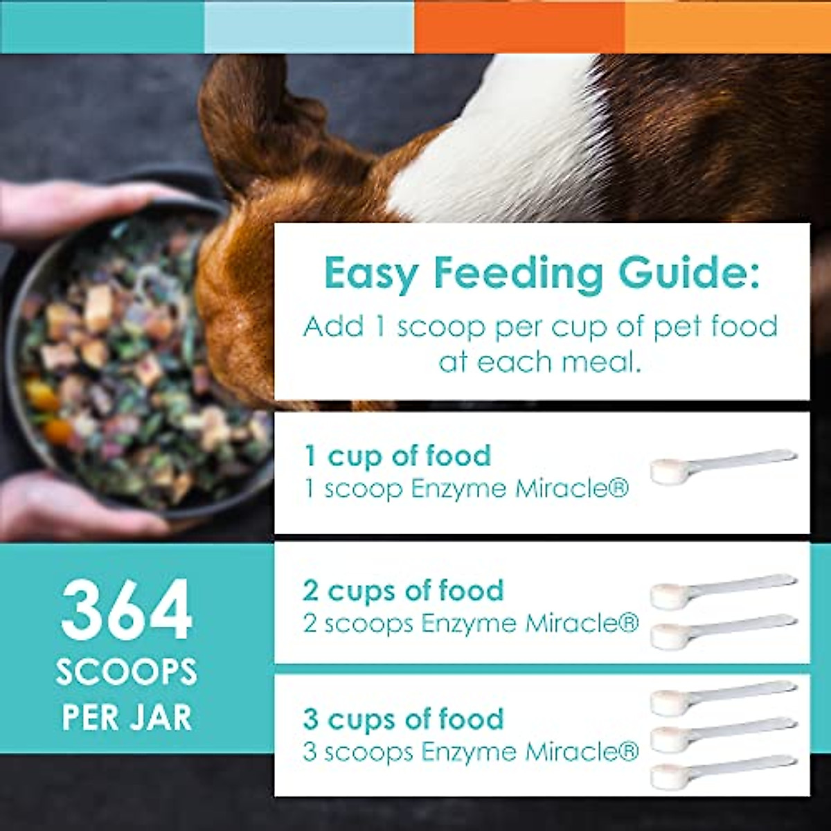 Enzymes for Dogs & Cats - Enzyme Miracle - Systemic & Digestive Enzyme Formula - Powder - 364 Servings - Vegetarian