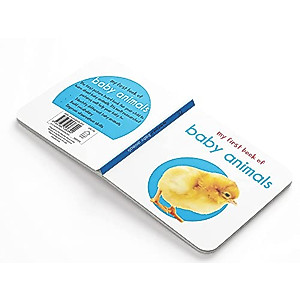 My First Complete Learning Library: Boxset of 20 Board Books Gift Set for Kids (Horizontal Design)