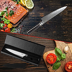 IKYPPAH Damascus Chef Knife 8 Inch, Japanese Aus10 Steel and Ebony handle,in Gift Box