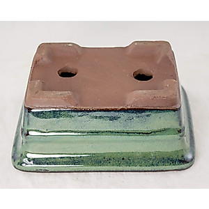 Calibonsai 6inch Rectangular Green Bonsai Succulent Pot Soil Tray Rock Mesh Kit