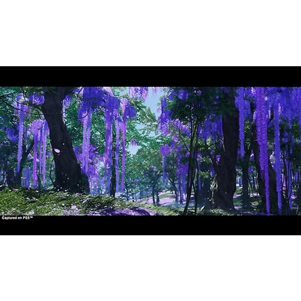 PlayStation, Ghost Of Tsushima Director's Cut (PS5)