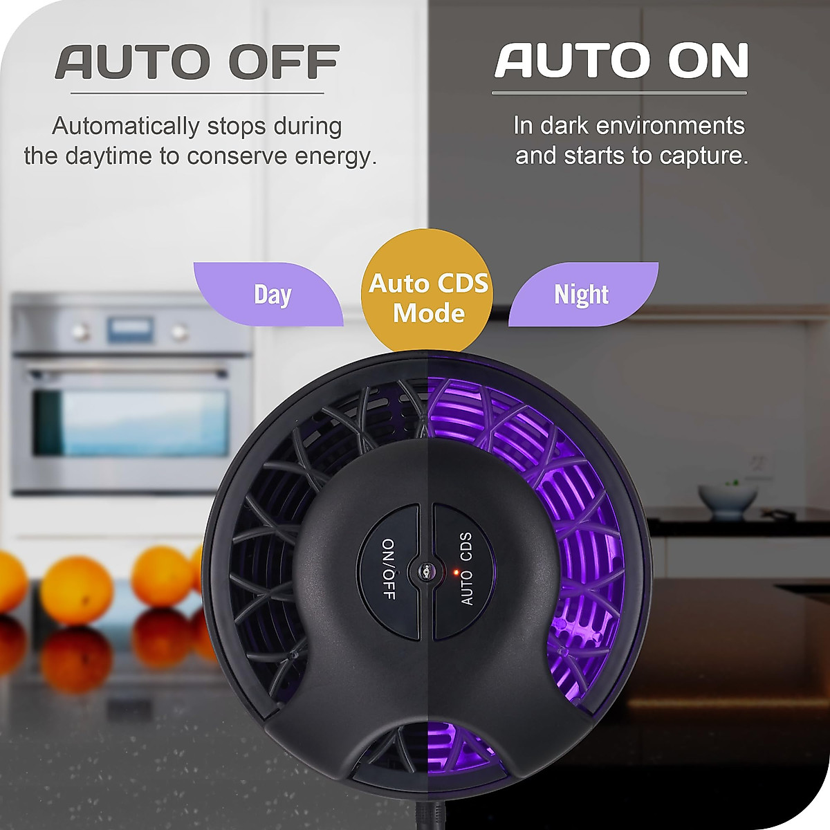 BANPESTT Fruit Fly Trap Indoor, Gnat Traps for House, Mosquito Trap Indoor Insect Traps with Suction, Dusk-to-Dawn Sensor Function, Bug Light & 6 Sticky Glue Boards (Black)