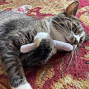 Smokey's Stash Catnip Filled Pre Roll Joints for Cats - 5 Joints per Pack