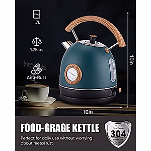 Talafa Electric Tea Kettle with Temperature, 1.7L/1500W Electric Water Kettle with Food Grade Stainless Steel, Hot Water Boiler Teapot for Boiling Water Auto Shut-off and Boil-Dry Protection, Green
