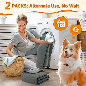 LOOBANI Waterproof Blanket Couch Cover for Dogs - Pet Blanket for Furniture Bed Couch Sofa Covers Protector Washable Reversible (Dark Gray+Light Gray,68'' x 82'',2 Pack)