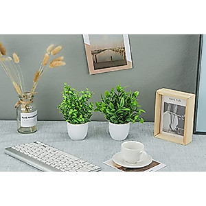 Miracliy 4 Packs Mini Fake Plants Artificial Potted Eucalyptus Faux Plants for Home Office Farmhouse Bathroom Table Shelf Decor Indoor
