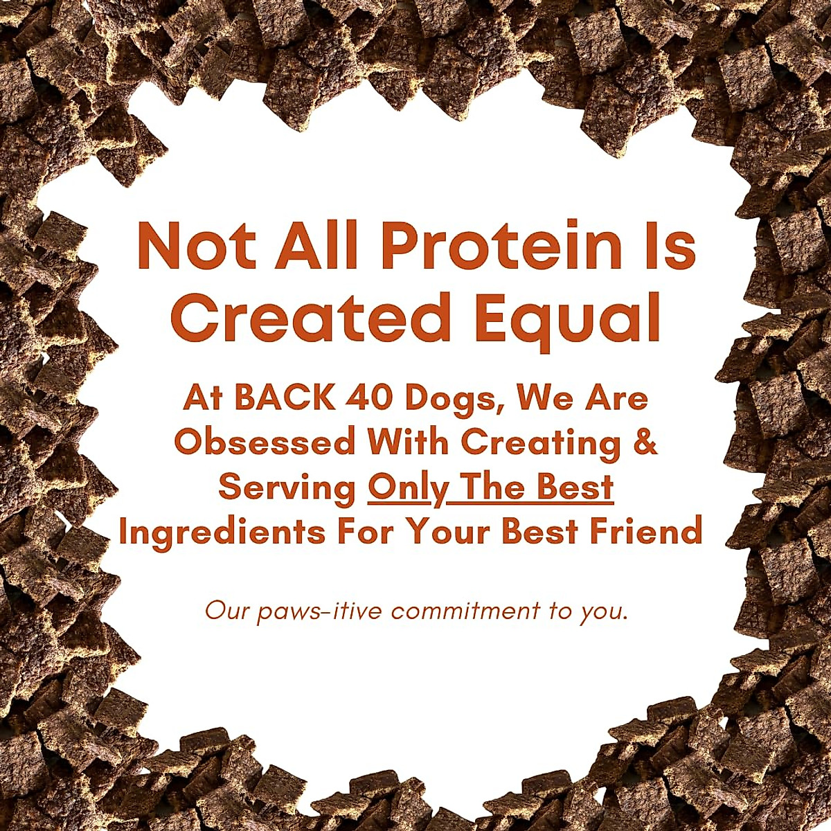Back 40 Dogs Beef Bites - All Natural Premium Air Dried Dog Training Treats - Free Range Beef, Real Meat - High Protein Dog Food Toppers & Dog Treat - Puppy Essentials, Made in USA - 16oz
