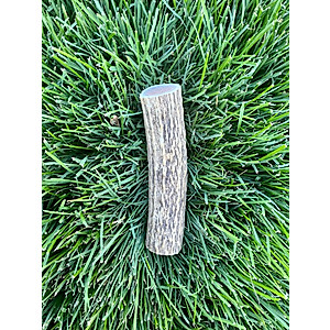 Good Trouble Pets Premium Elk Antlers for Medium Dogs - All-Natural, Shed Antler Chews for Dental Health & Calming - Durable Dog Bones for Aggressive Chewers - Cruelty-Free, North American Sourced