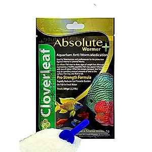 Plymouth Discus Product WORMER Plus - Freshwater and Saltwater Fish Powder Medication. With parasites and Flukes. (5G - Treats 600 GALLONS)