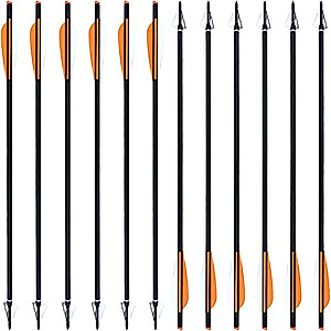 TIT-COYO 20 22 Inch Crossbow Bolts and Crossbow Broadheads Set Carbon Crossbow Arrows for Hunting and Outdoor Practice, 12pcs Orange Arrows 12pcs Broadheads(24 Pack)