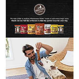 Wholesome Pride Natural & Healthy Pumpkin Highly Digestible Dog Chews, Large - 2 Pack