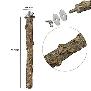 alfyng 2pc Bird Parrot Fruit Basket and Wooden Bird Perch Stand, Bird Food Holder, Parrot Hanging Metal Birdcage Vegetable Fruit Treat Feeder, Foraging Feeding Tool for Medium Large Parrot