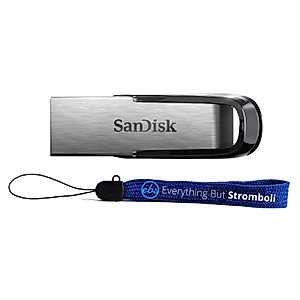 SanDisk 256GB Ultra Flair USB 3.0 Flash Drive 256 Gig High Speed Memory Pen Drive (SDCZ73-256G-G46) Bundle with (1) Everything But Stromboli Lanyard