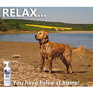 FOLEX Instant Carpet Spot Remover + Daley Mint Cloth | Instant Rug, Upholstery, and Carpet Spot Remover Kit for Home, 32oz