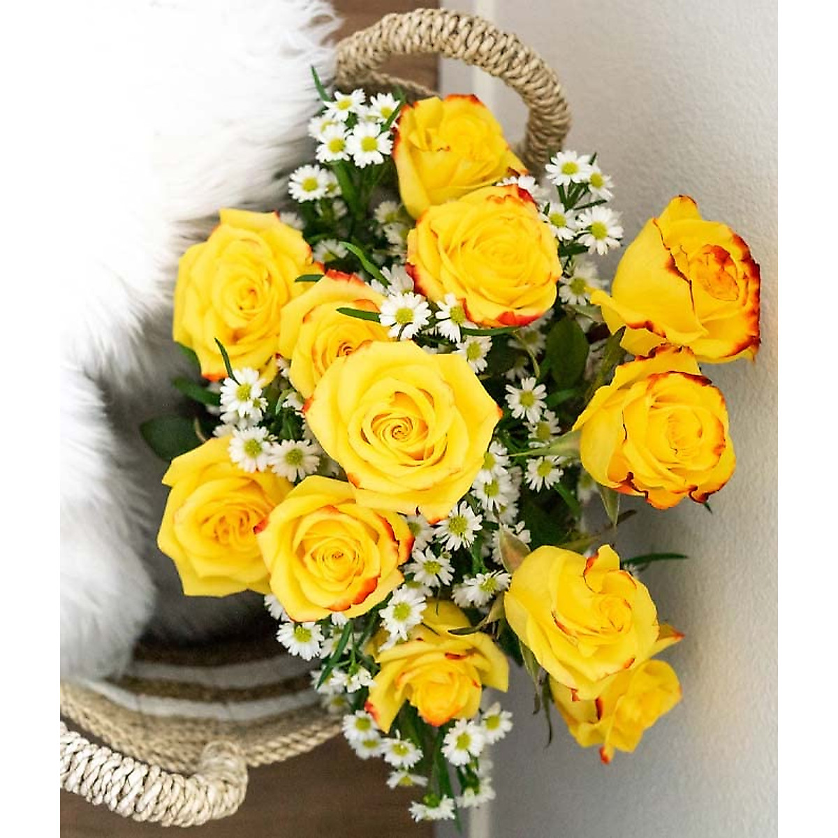 From You Flowers - One Dozen Festive Roses with Glass Vase (Fresh Flowers) Birthday, Anniversary, Get Well, Sympathy, Congratulations, Thank You