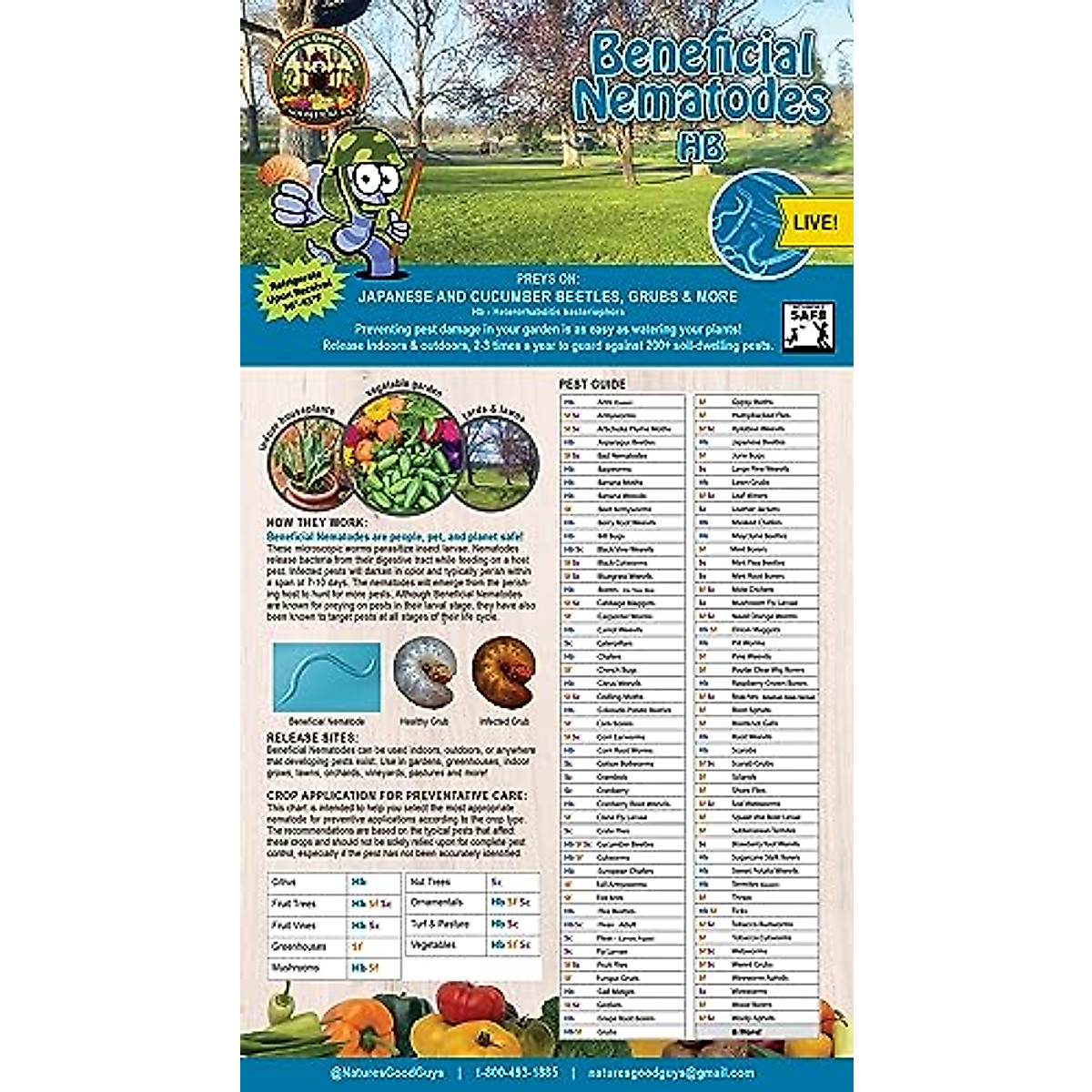 Natures Good Guys Beneficial nematodes Heterorhabditis bacteriophora 5 Million