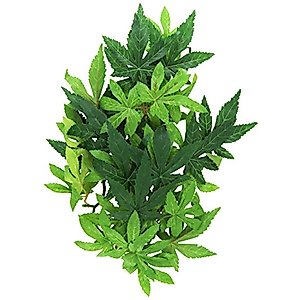 Exo Terra Silk Terrarium Plant, Medium, Abutilon