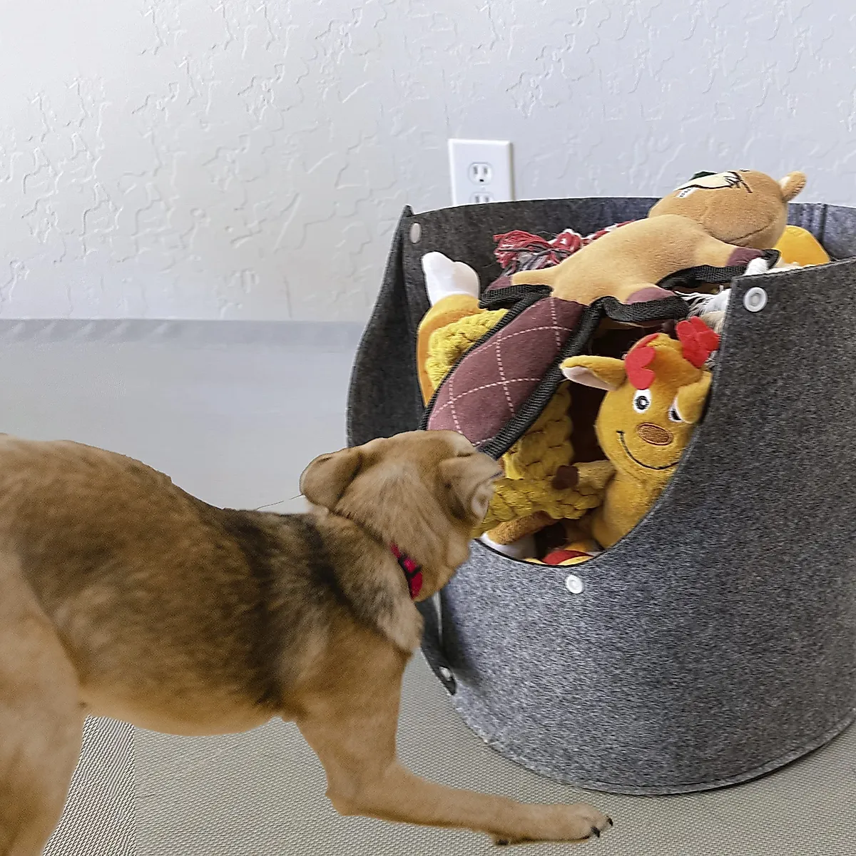 Jalousie Dog Toy Storage Basket Dog Toy Bin with Handle - Heavy Duty Thick Felt Extra Bonus Squeaky Dog Toy Included - Perfect for Organizing Pet Toys and Accessories Puppy Toy Storage for Easy Assess